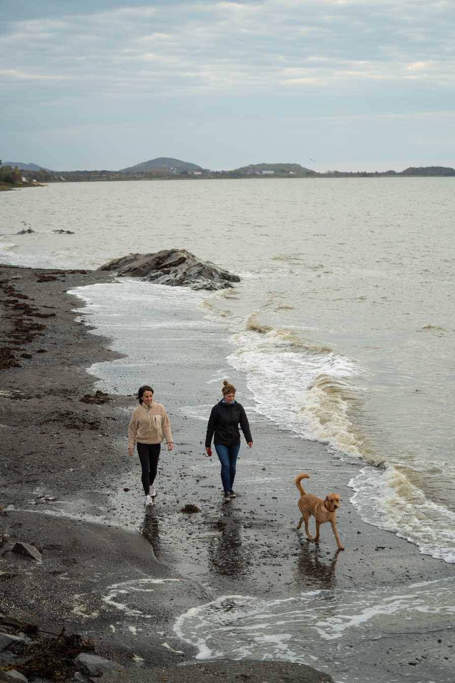 Pour plus d’infos, visitez: notredameduportage.ca