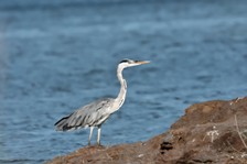 Quoi faire à Notre-Dame-du-Portage?